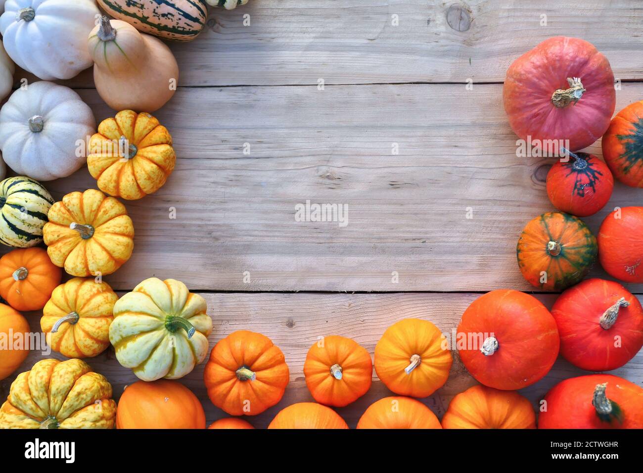 Colorful various pumpkins and squashes border on wood background Stock ...