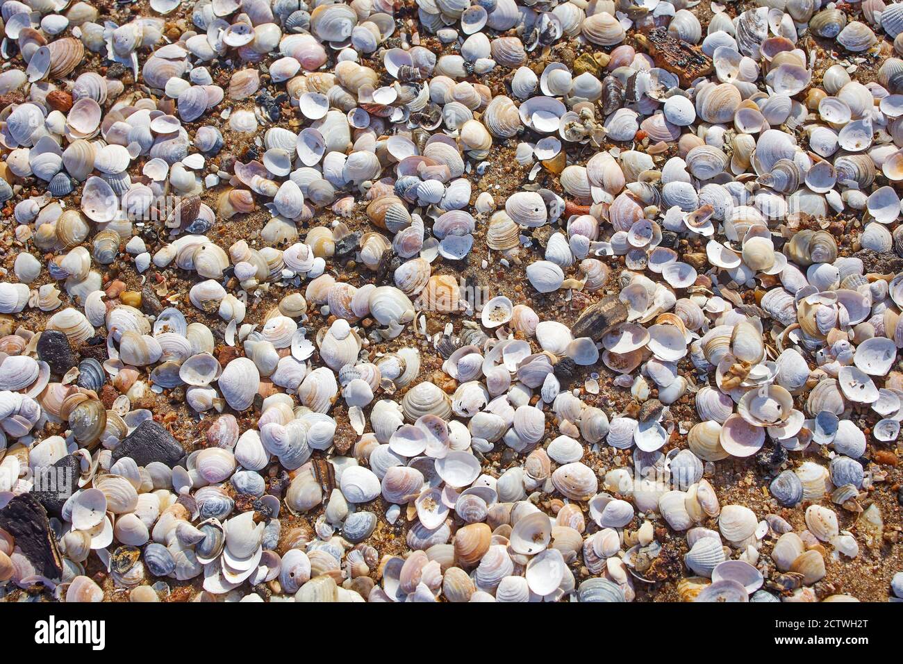 Beach sand top view hi-res stock photography and images - Alamy
