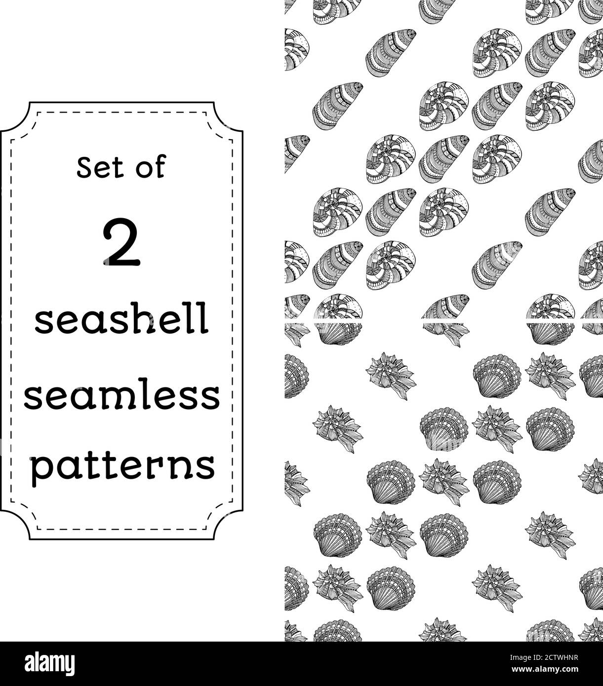 Set of geometric seamless pattern of seashells. Vector illustration in ...