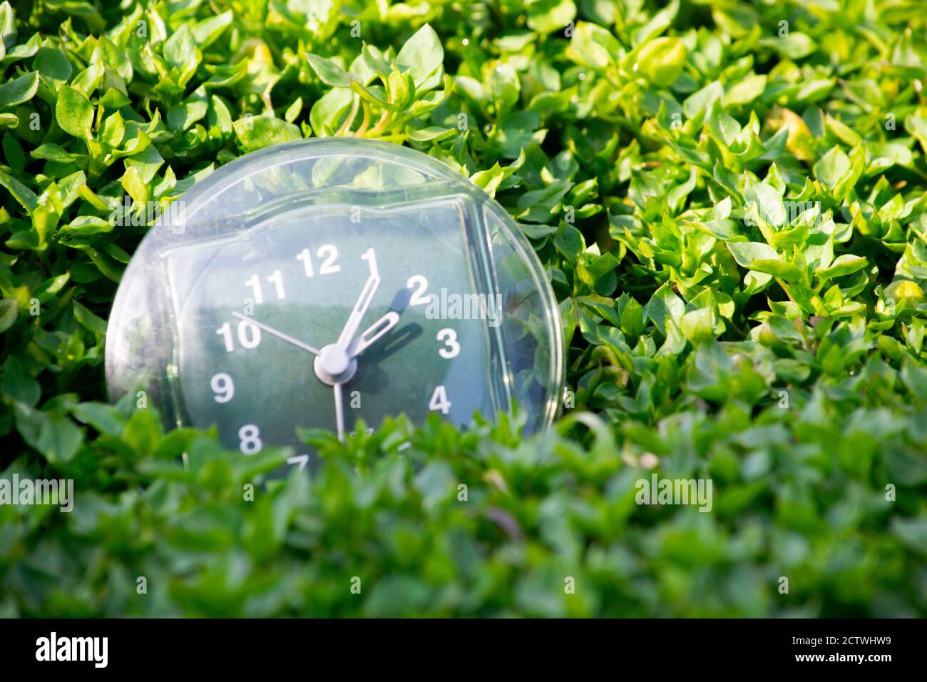 the transition to summer time, the arrival of spring, the clock on the ...