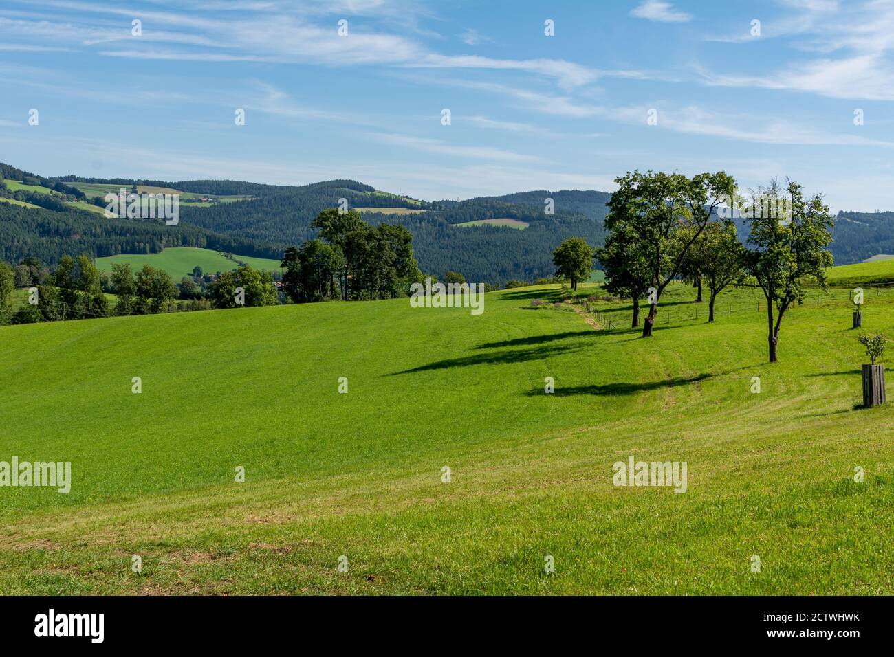 Beautiful view of idyllic alpine mountain scenery with meadows, trees ...