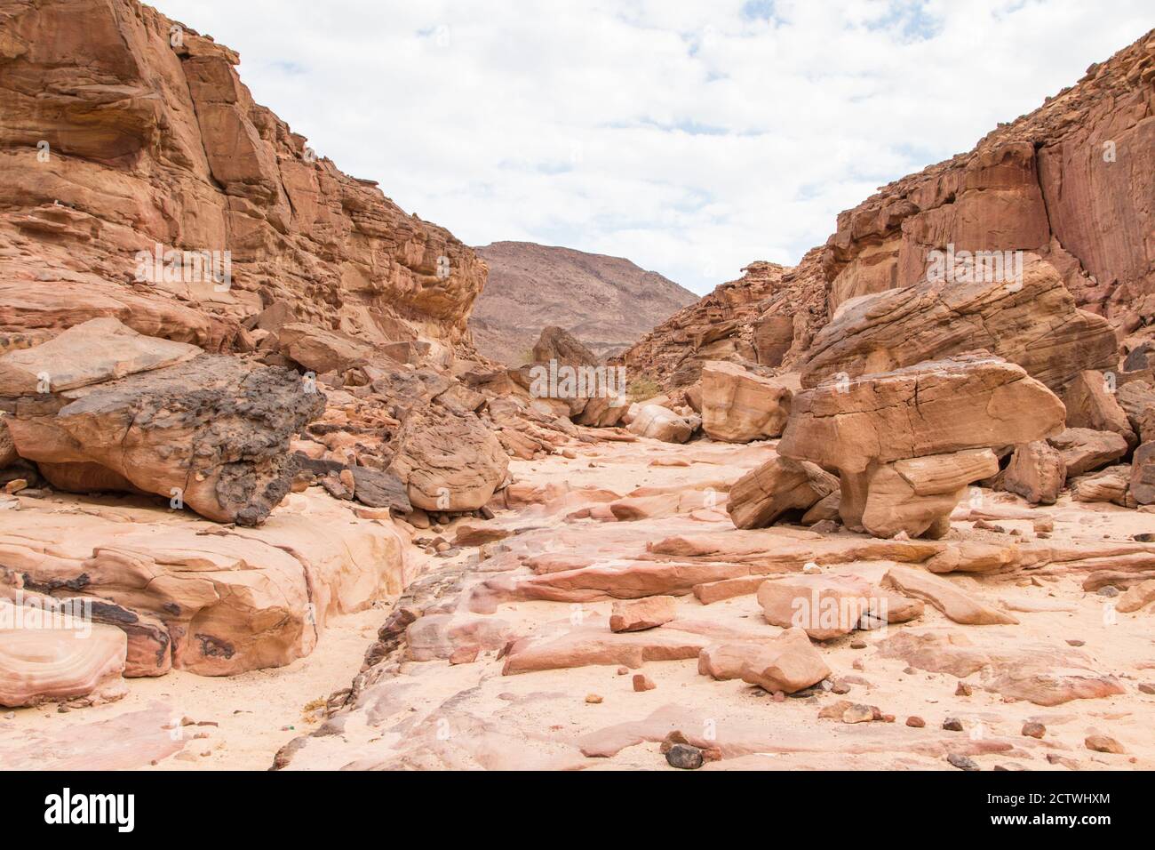 Colored canyon with red rocks. Egypt, desert, the Sinai Peninsula ...