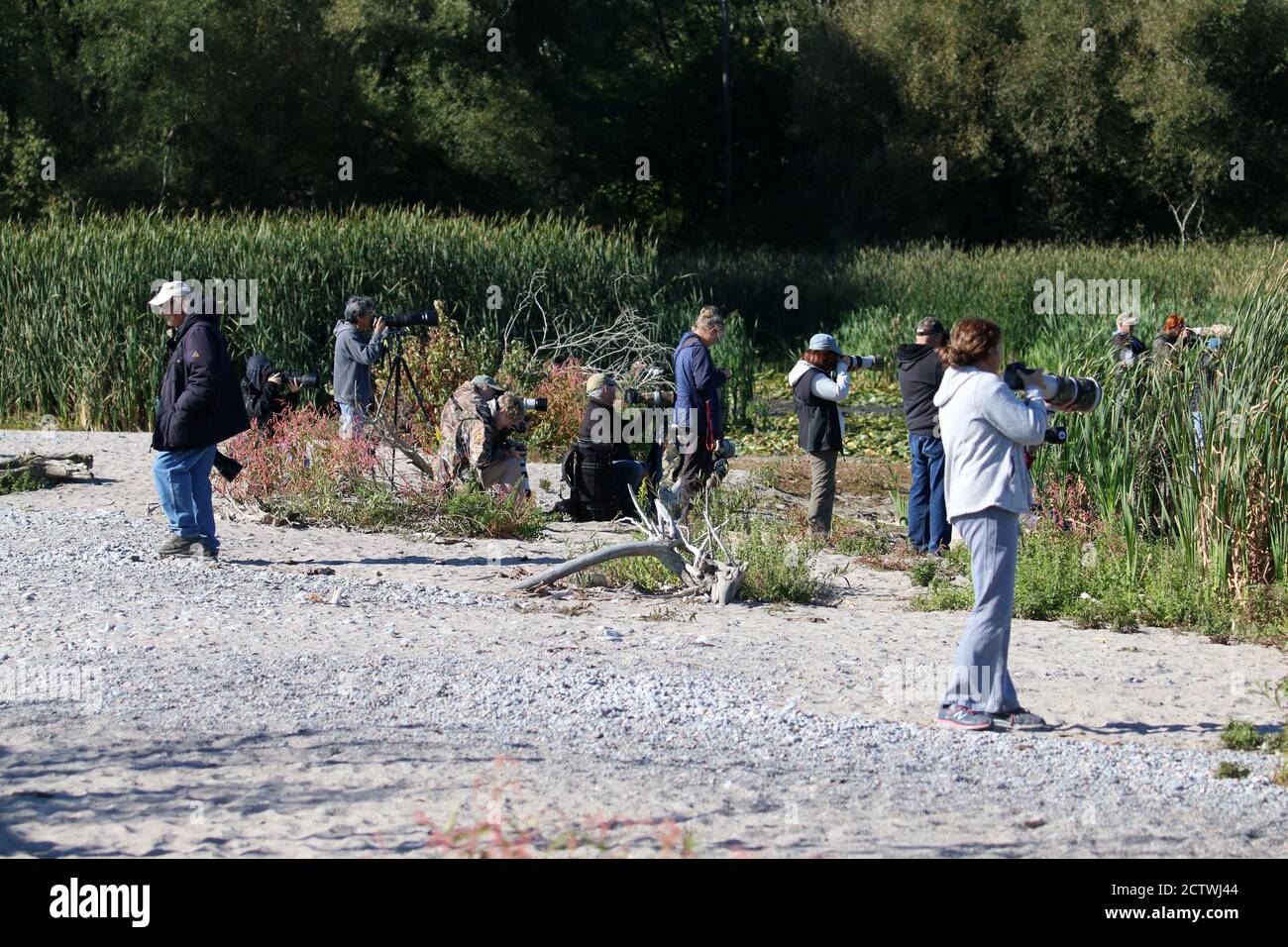 Gangs of bird photographers shooting nature Stock Photo - Alamy