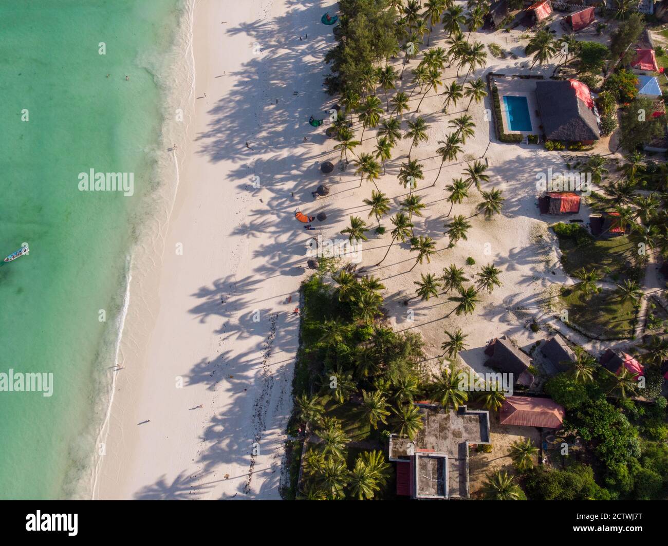 Scenic view of palm trees zanzibar hi-res stock photography and images ...