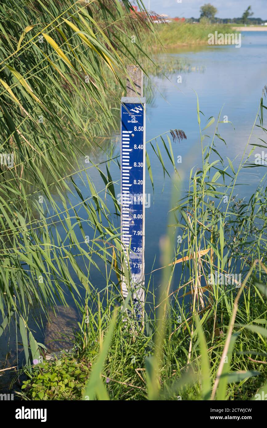 water level meter between the reed in the netherlands Stock Photo - Alamy