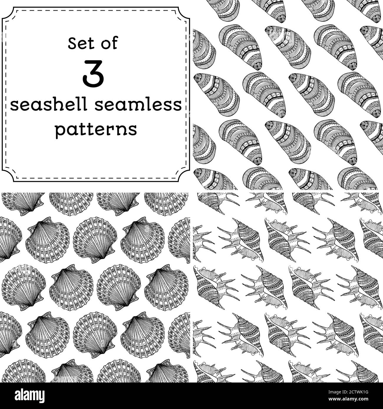 Set of geometric seamless pattern of seashells. Vector illustration in ...