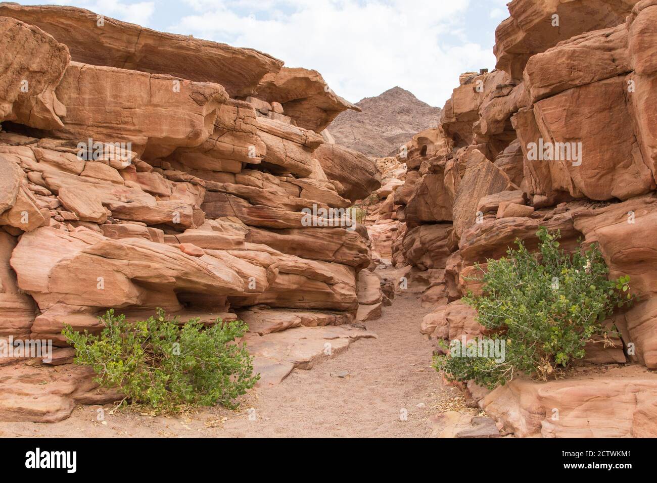 Colored canyon with red rocks. Egypt, desert, the Sinai Peninsula ...