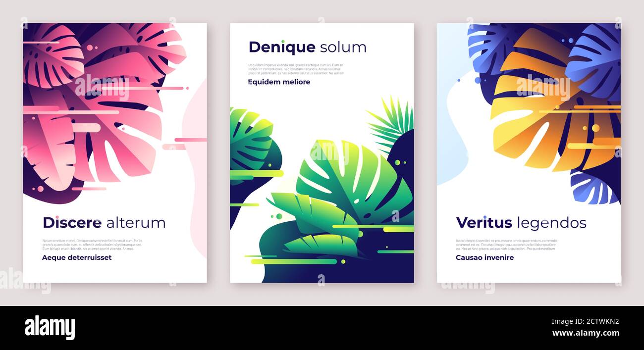 Colorful tropical vector backgrounds, covers Stock Vector Image & Art ...