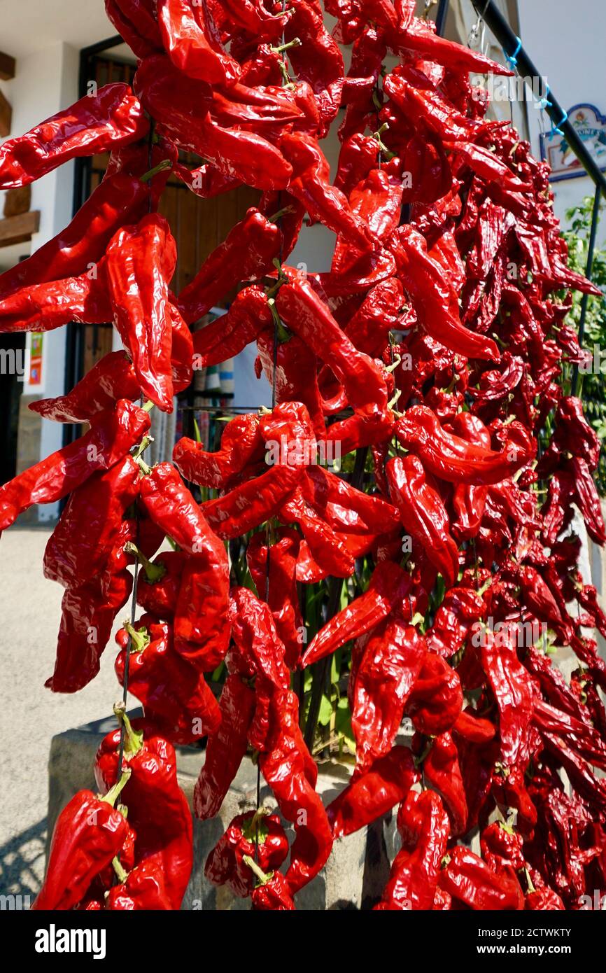 Sweet red peppers drying in the sun in Andalucía, Spain Stock Photo - Alamy