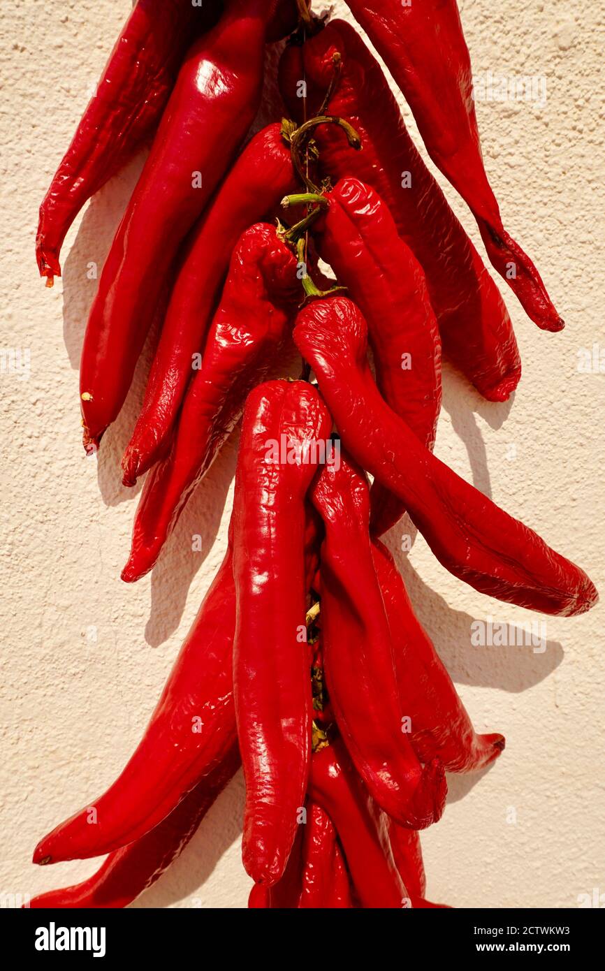 Sweet red peppers drying in the sun in Andalucía, Spain Stock Photo - Alamy