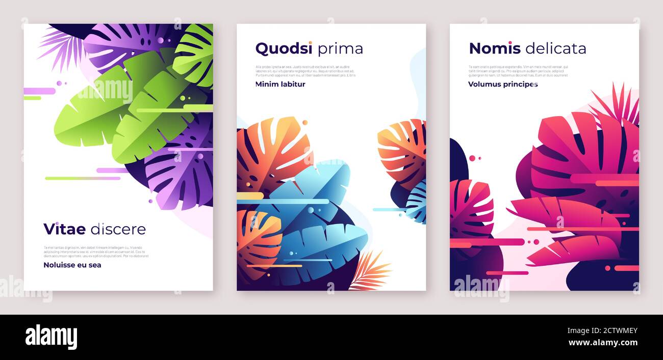 Colorful tropical vector backgrounds, covers Stock Vector Image & Art ...