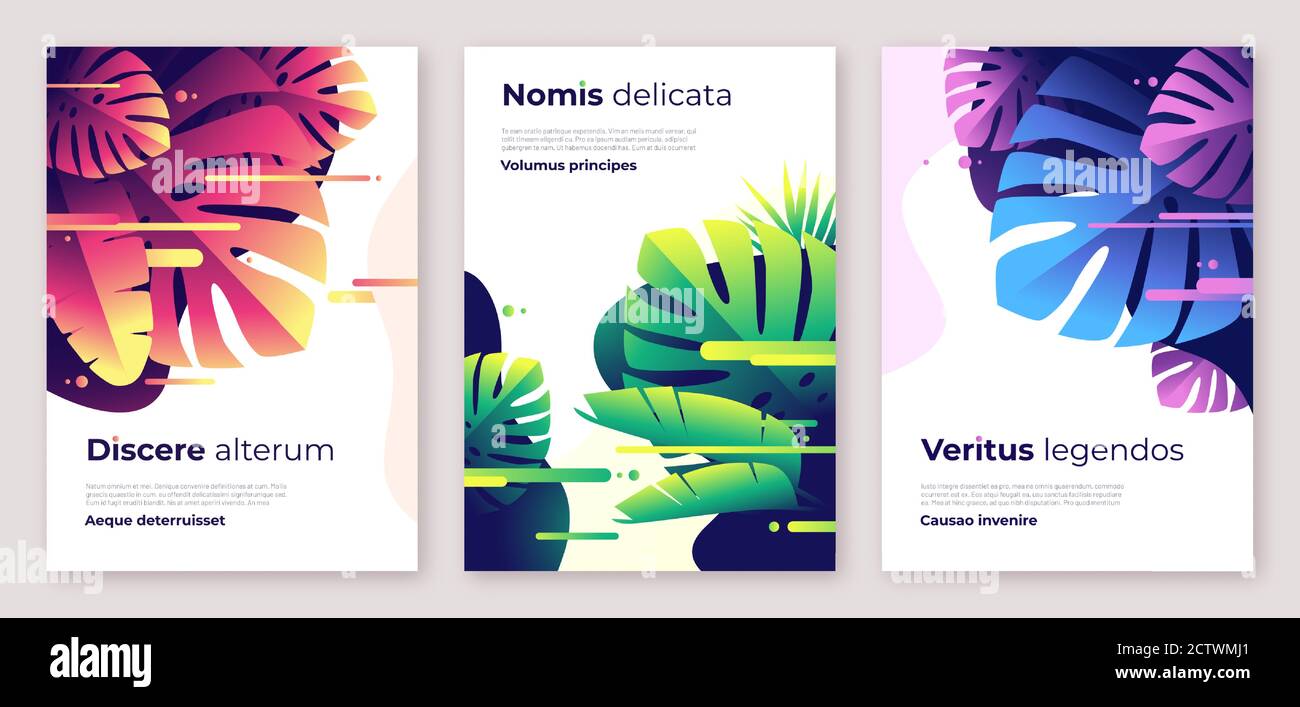 Colorful tropical vector backgrounds, covers Stock Vector Image & Art ...