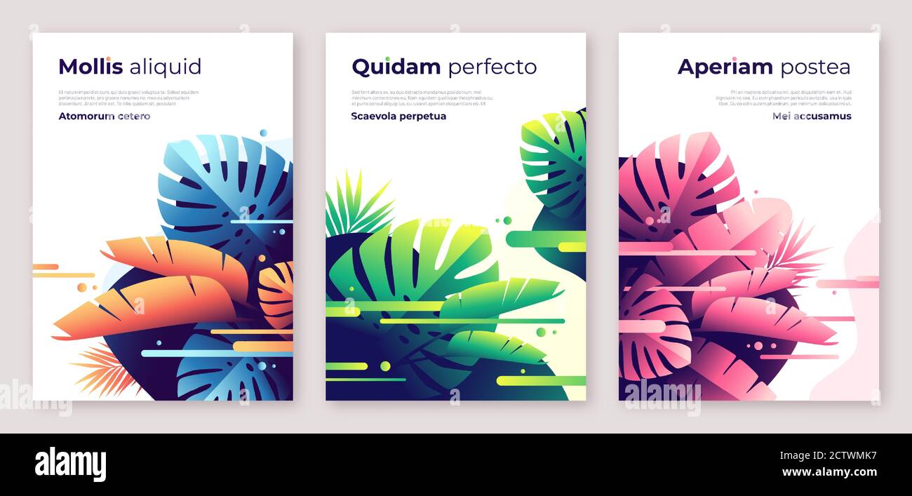 Colorful tropical vector backgrounds, covers Stock Vector Image & Art ...