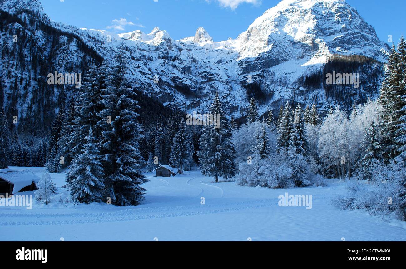 a wonderful day in the snow Stock Photo - Alamy