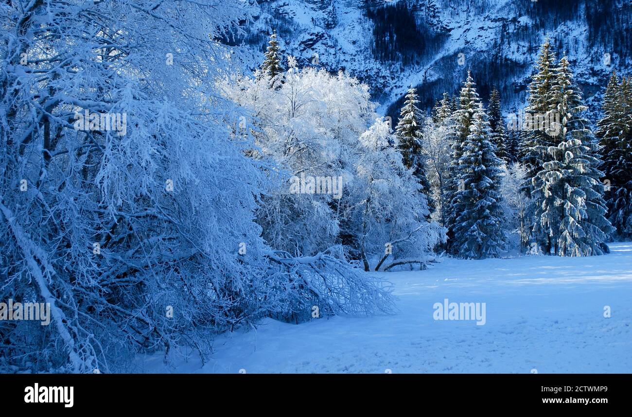 a beautiful winter day Stock Photo - Alamy