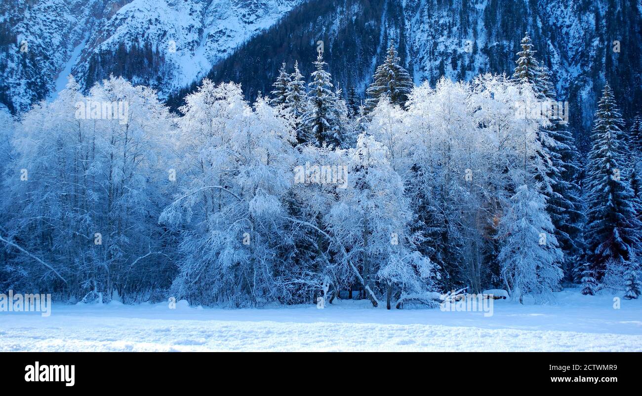 a beautiful winter day Stock Photo - Alamy