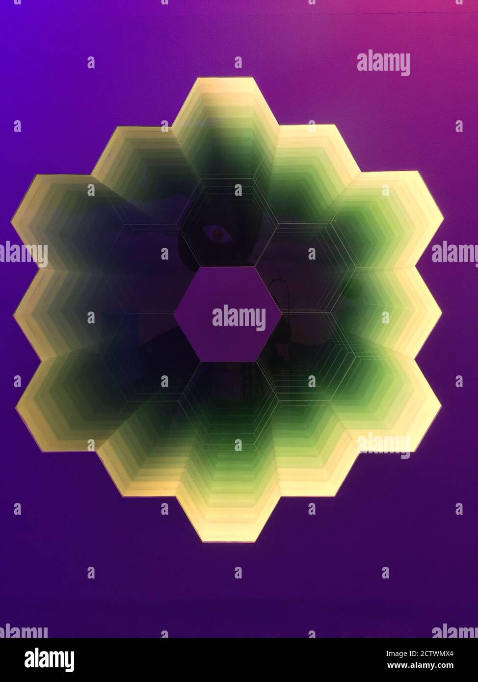 Vibrant illustration of a polygon figure on the purple background ...