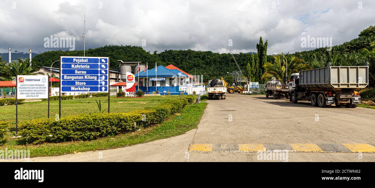 Kelapa sawit hi-res stock photography and images - Alamy
