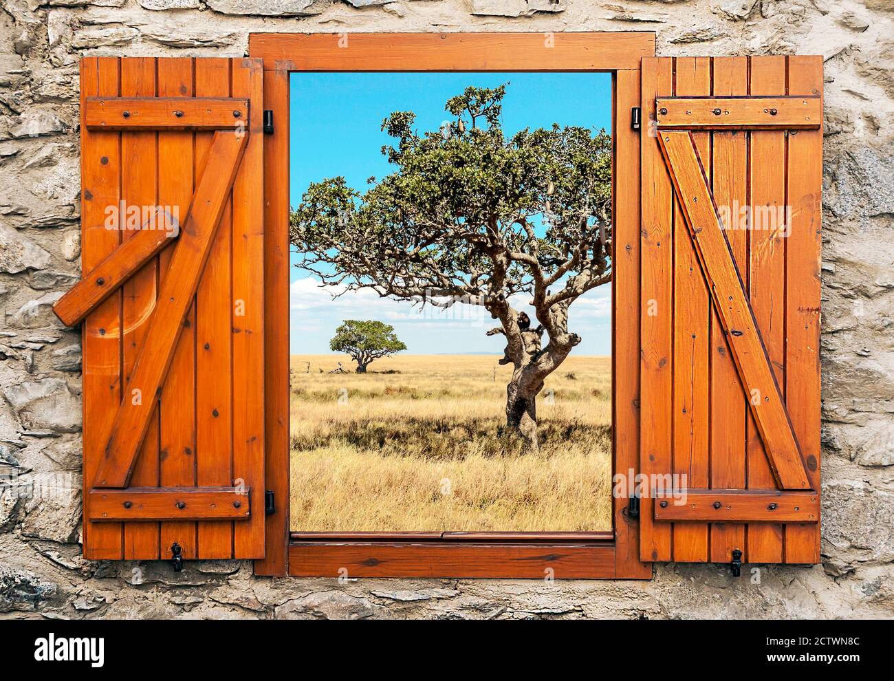 Zimbabwe tree house hi-res stock photography and images - Alamy