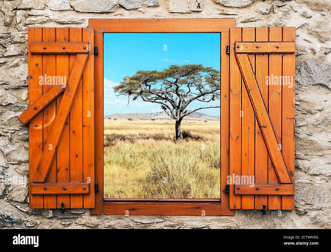 Zimbabwe tree house hi-res stock photography and images - Alamy