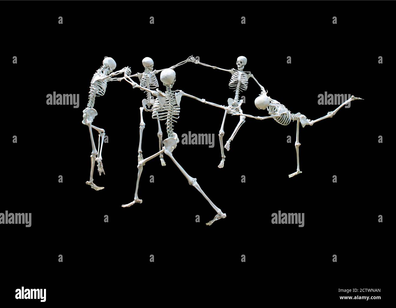 Old skeletons hi-res stock photography and images - Alamy