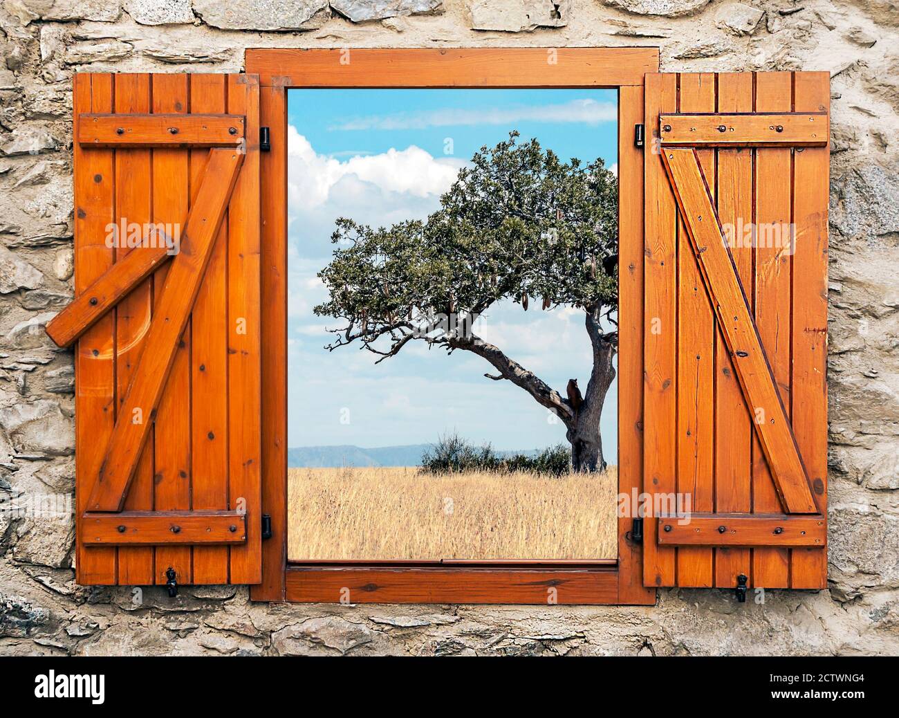Tree at window Stock Photo - Alamy
