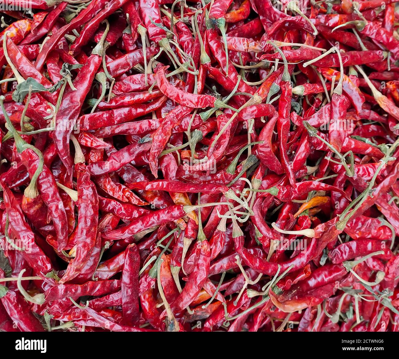 25 Sep 2020, Dhaka, Bangladesh. Dry hot chilies are displayed for sale ...