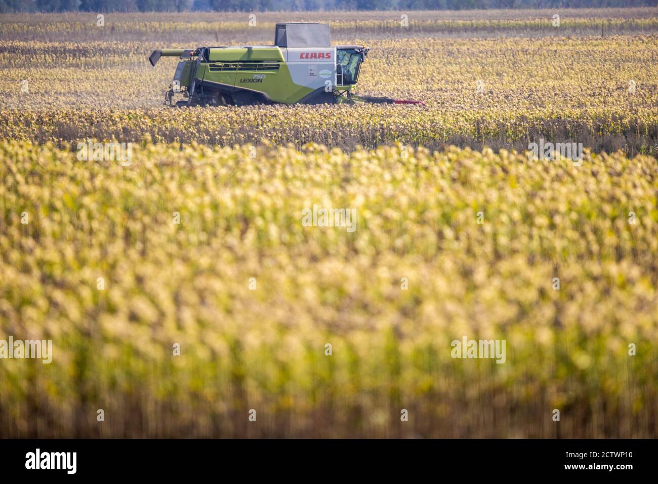 Fodder production hi-res stock photography and images - Alamy