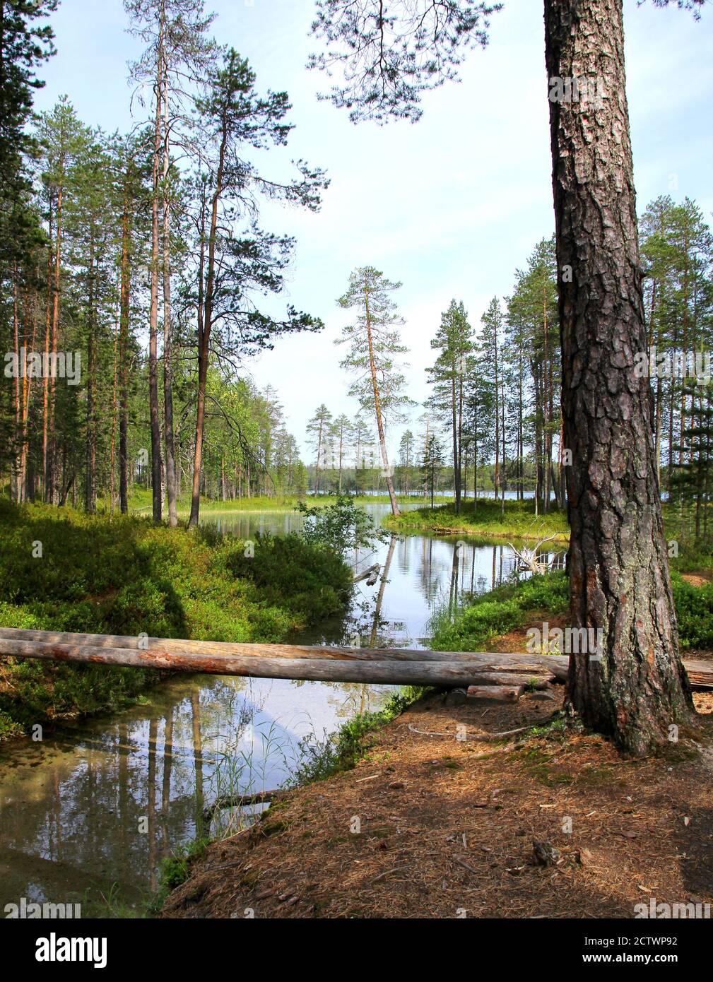 Streamlet hi-res stock photography and images - Alamy