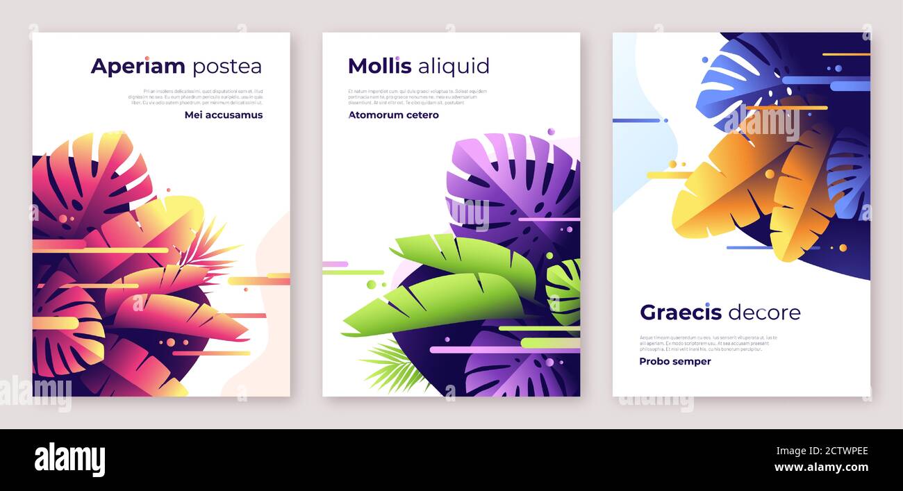 Colorful tropical vector backgrounds, covers Stock Vector Image & Art ...