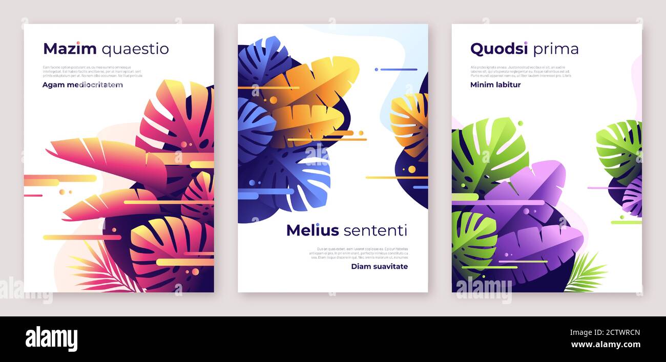 Colorful tropical vector backgrounds, covers Stock Vector Image & Art ...