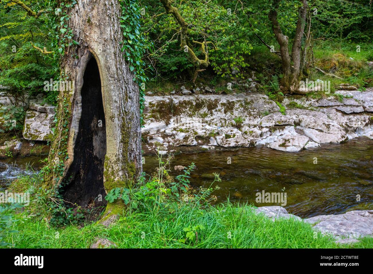 Taf River High Resolution Stock Photography and Images - Alamy