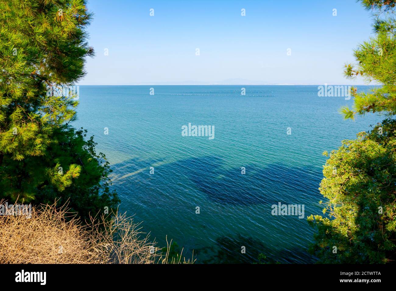 Above view through conifer canopy from reef on beautiful shallow ...
