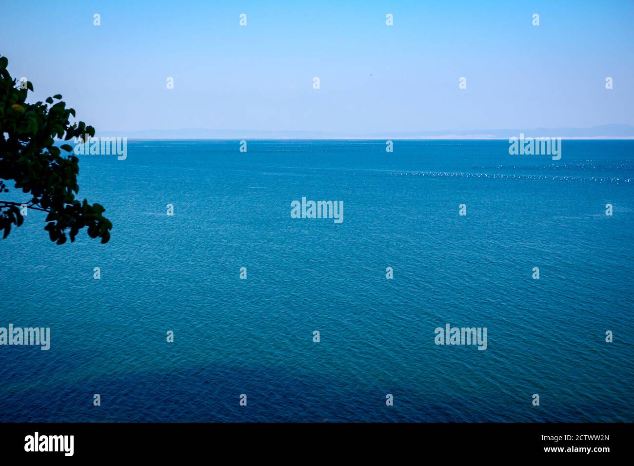 Farm of seashells are placed on an open sea and silhouettes of far away ...