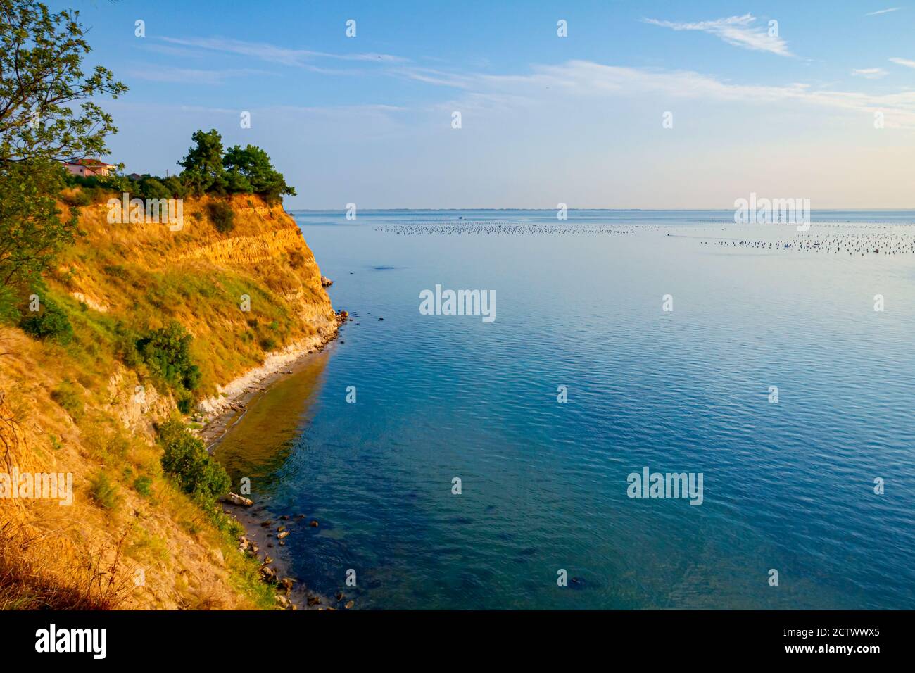 Rocky cliff with vegetation above peaceful bay and farm of seashells ...