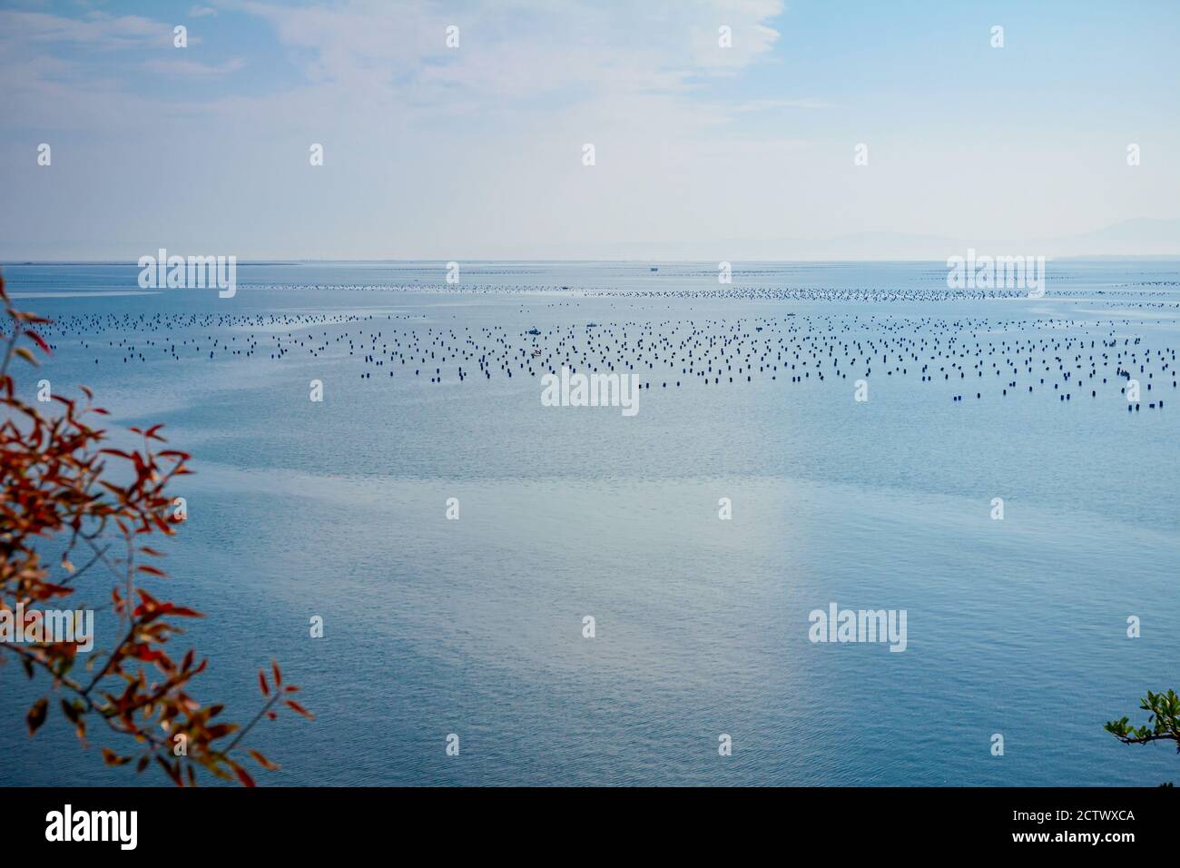 Farm of seashells are placed on an open sea and silhouettes of far away ...