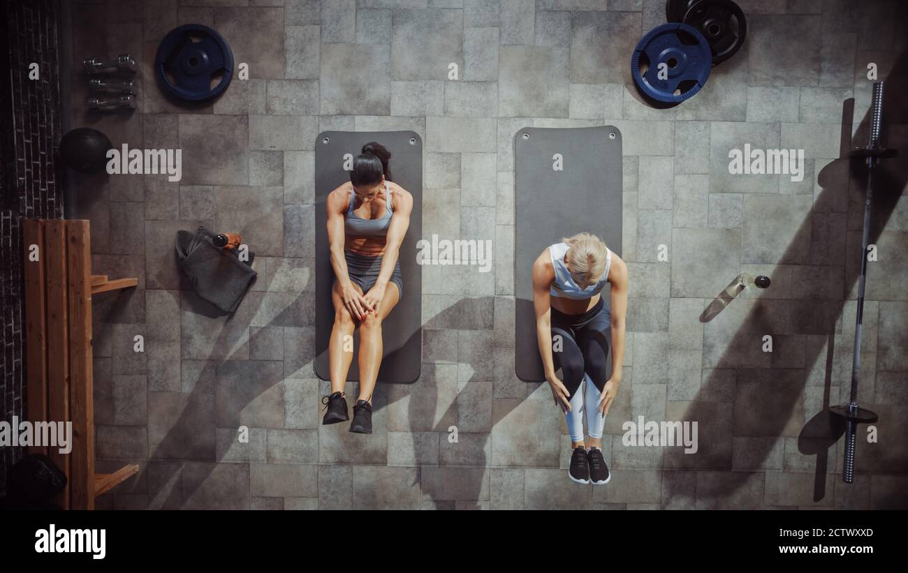 Female bodybuilders hi-res stock photography and images - Alamy