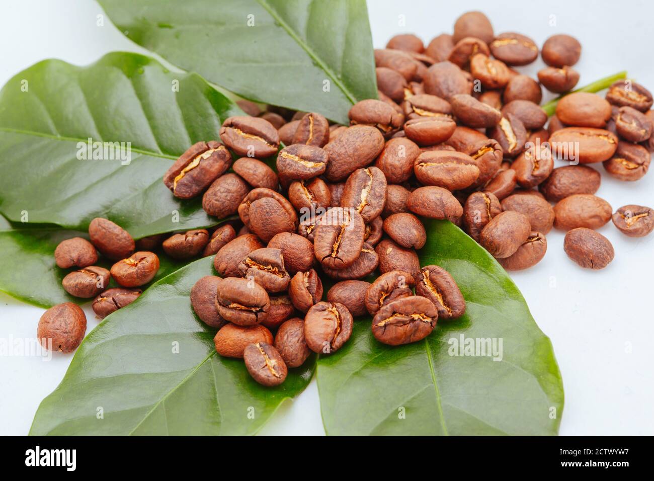 Coffee Beans as Isolated Object Stock Photo - Alamy