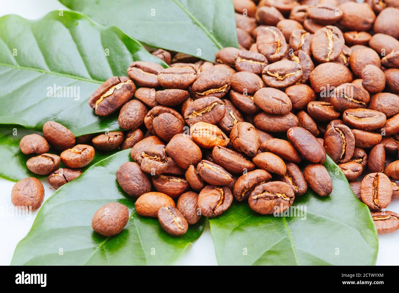 Coffee Beans as Isolated Object Stock Photo - Alamy