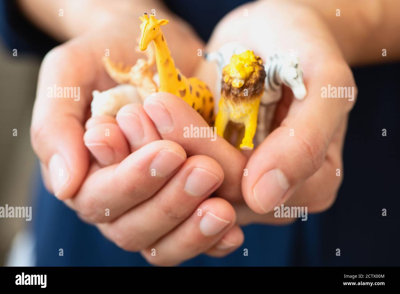 Hands holding figures of wild animals: giraffe, zebra, tiger, bear and ...