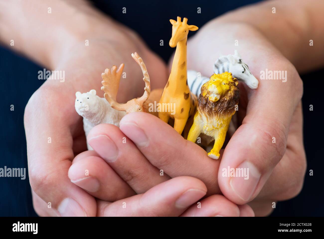 Hands holding figures of wild animals: giraffe, zebra, tiger, bear and ...