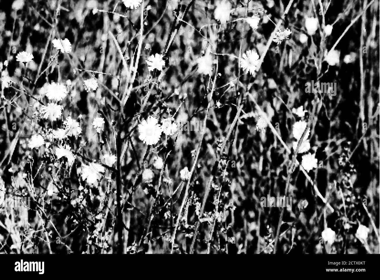 Golden abstract background in Black and White Stock Photos & Images - Alamy