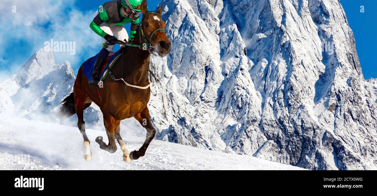 Sport gallop hi-res stock photography and images - Alamy