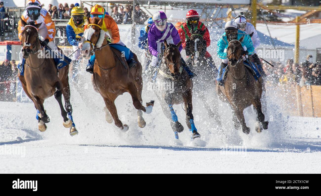 White turf hi-res stock photography and images - Alamy