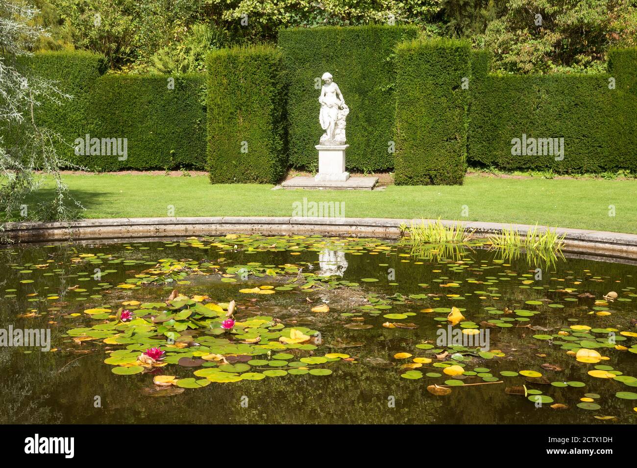 Knightshayes hi-res stock photography and images - Alamy