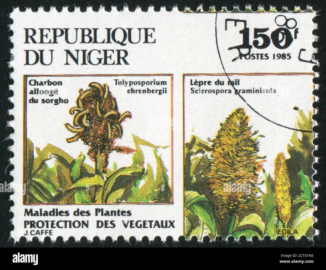 NIGER - CIRCA 1985: stamp printed by Niger shows Tolyposporium ...