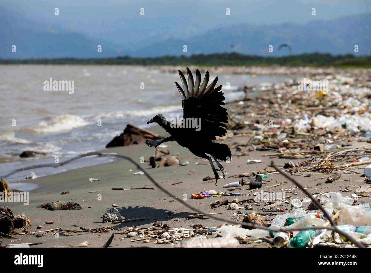 Motagua River Guatemala High Resolution Stock Photography and Images ...