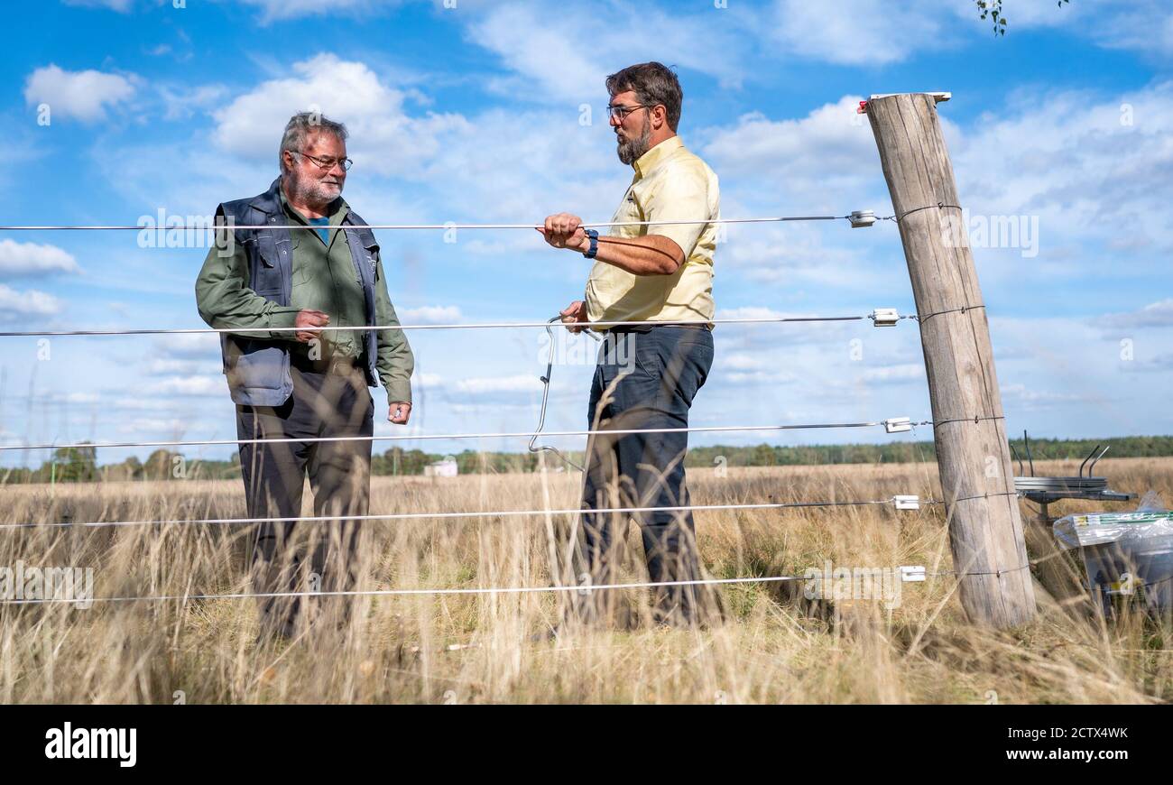 Sven Sheep High Resolution Stock Photography and Images - Alamy