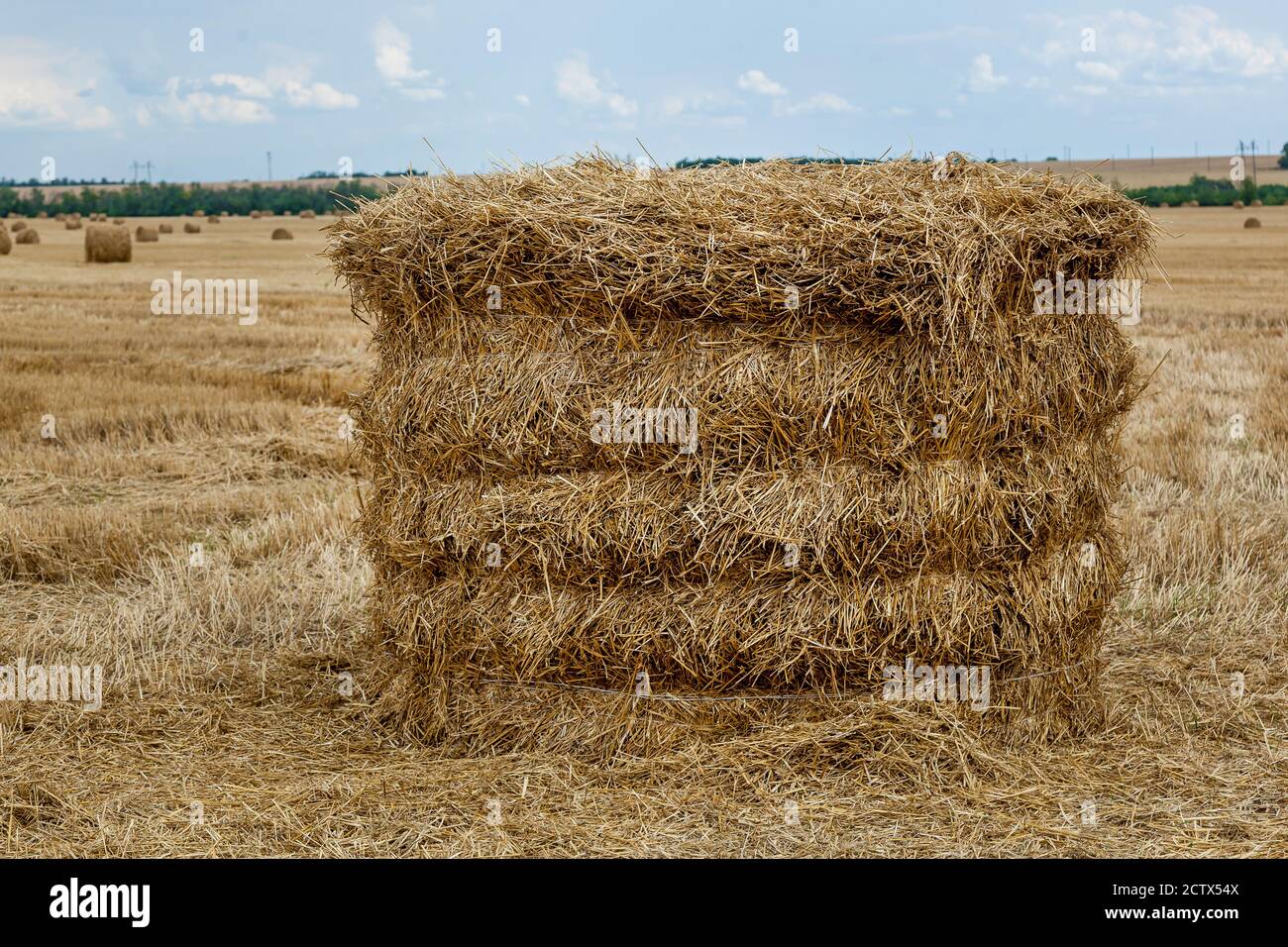 Round yellow haystacks are scattered in a chaotic manner on the field ...