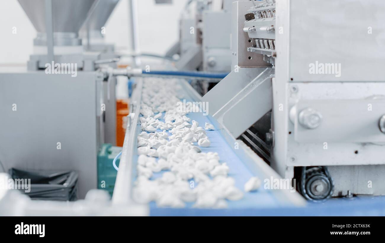 Automatic Machine Production Process at a Dumpling Factory. Fresh Raw ...